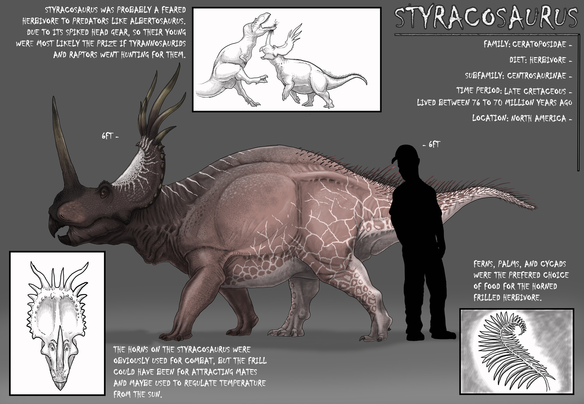 ArtStation - Styracosaurus Dossier