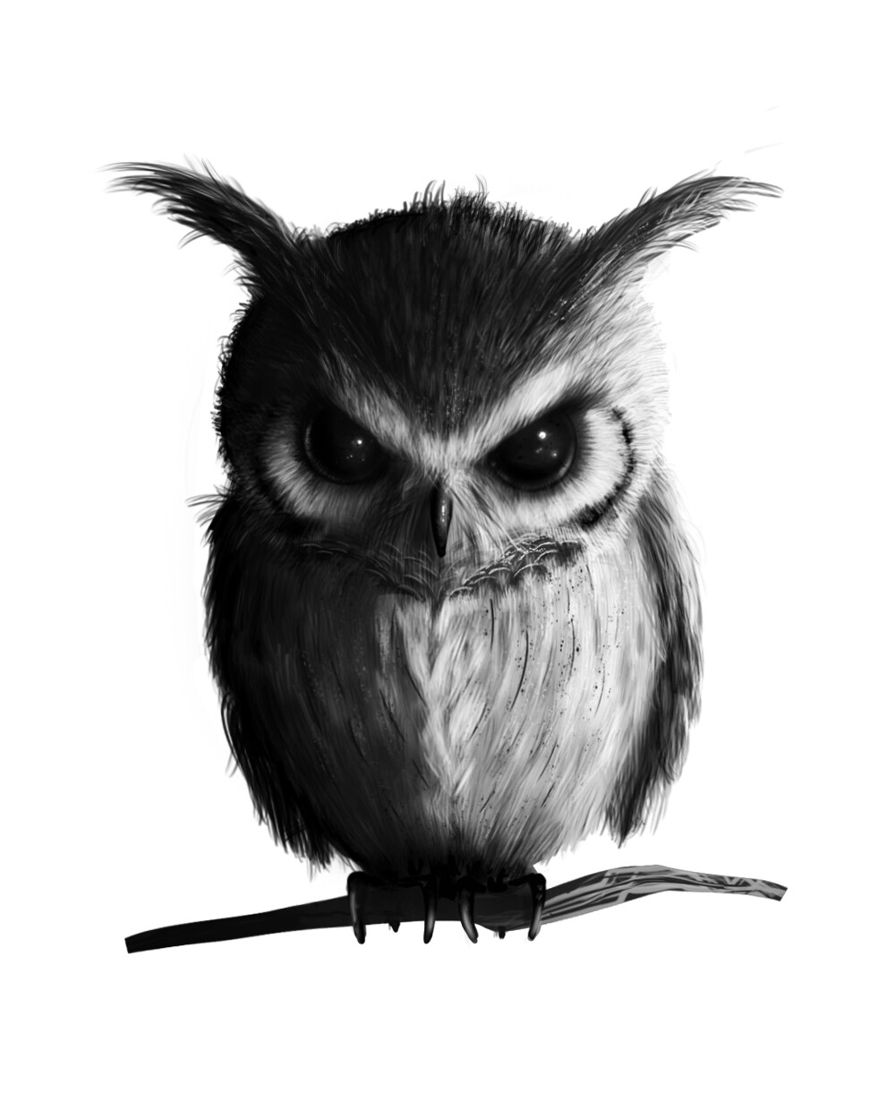 ArtStation - Owly