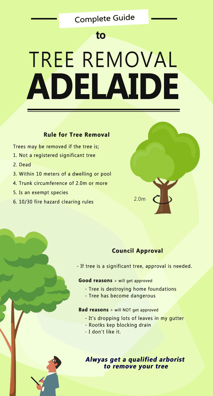 ArtStation - Complete Guide to Tree Removal Adelaide
