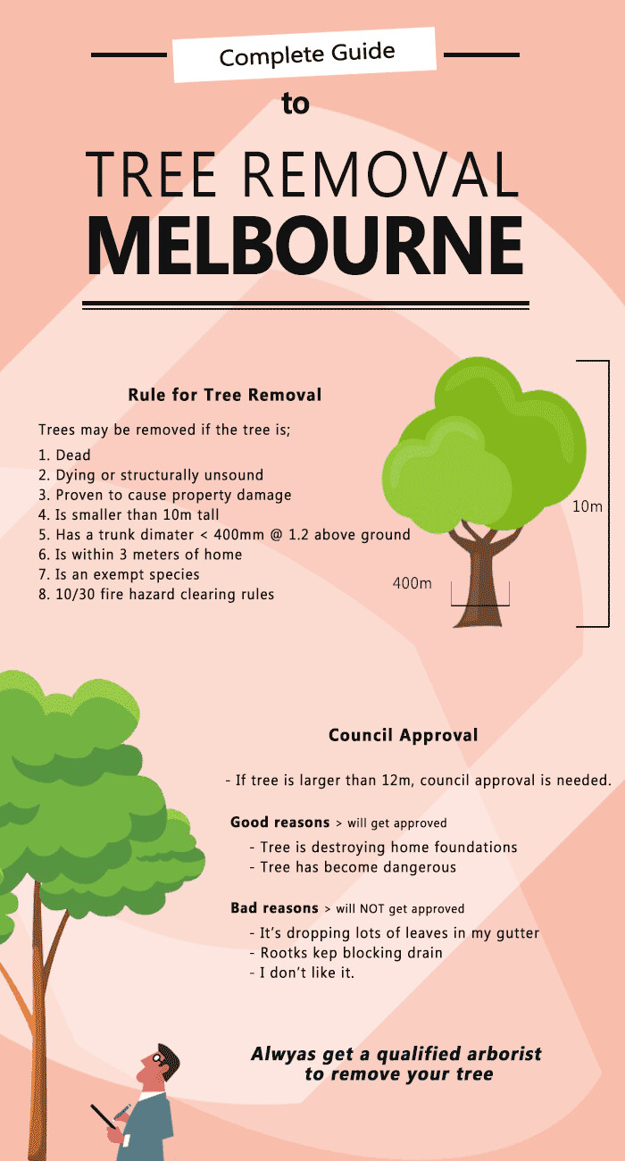 ArtStation - Tree Removal Melbourne Infographic