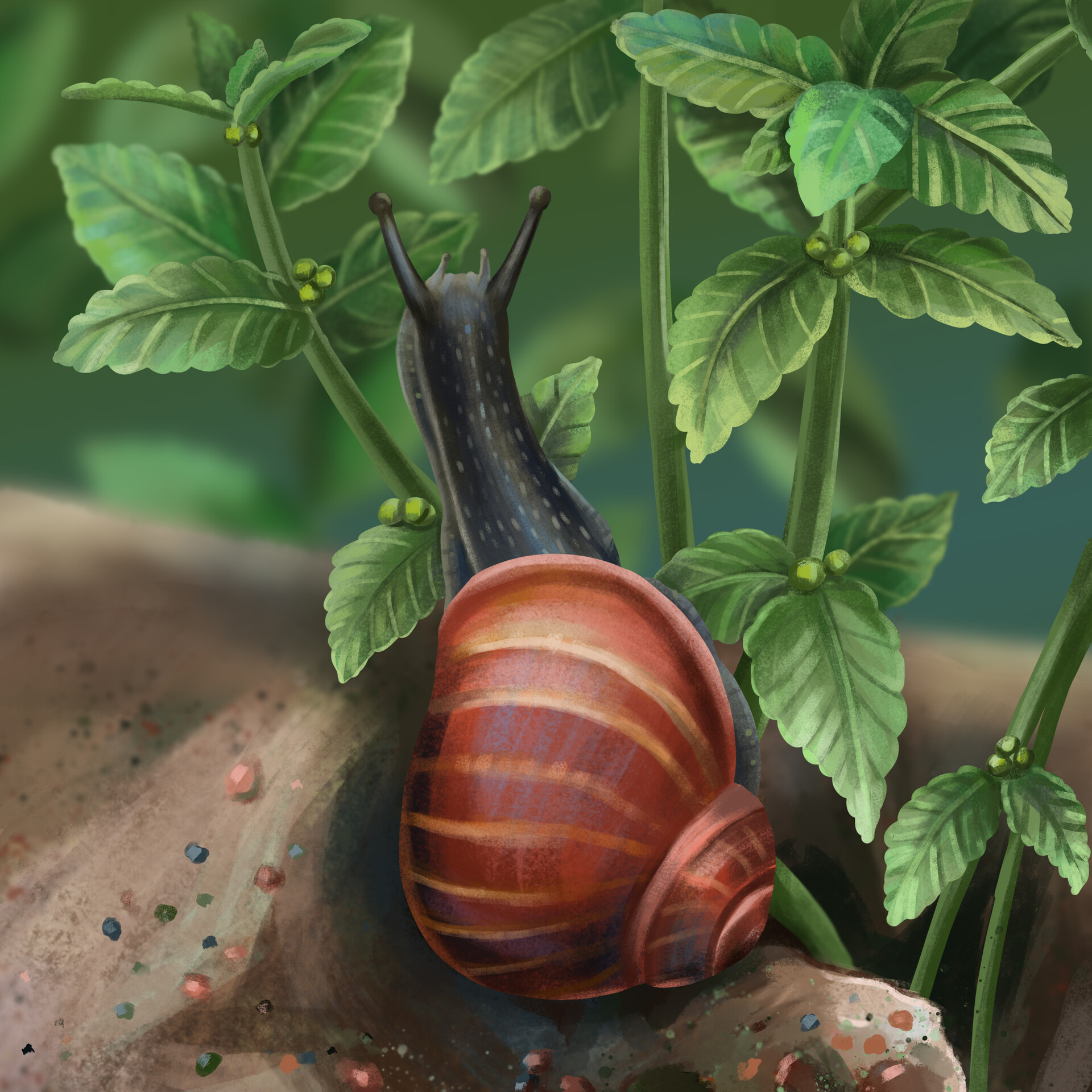 ArtStation - Snail