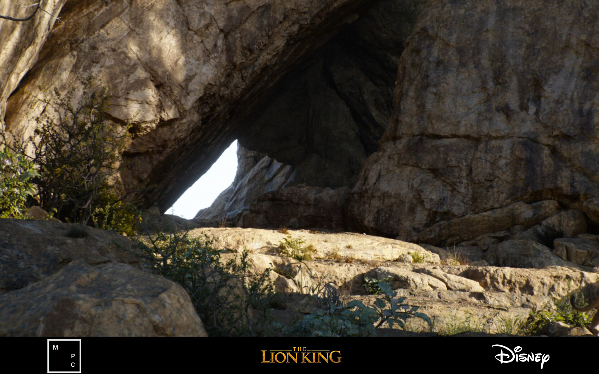 Stephen Pietrusiak - The Lion King - Pride Rock Set