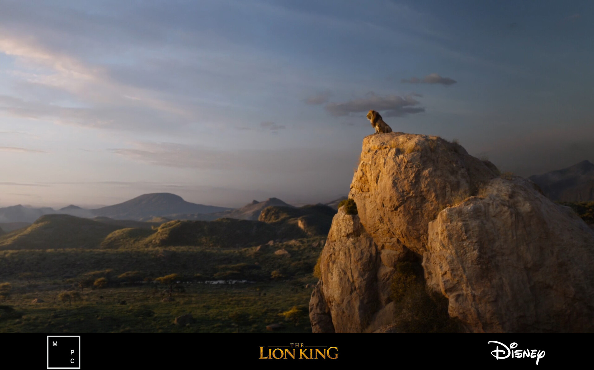 Stephen Pietrusiak - The Lion King - Pride Rock Set