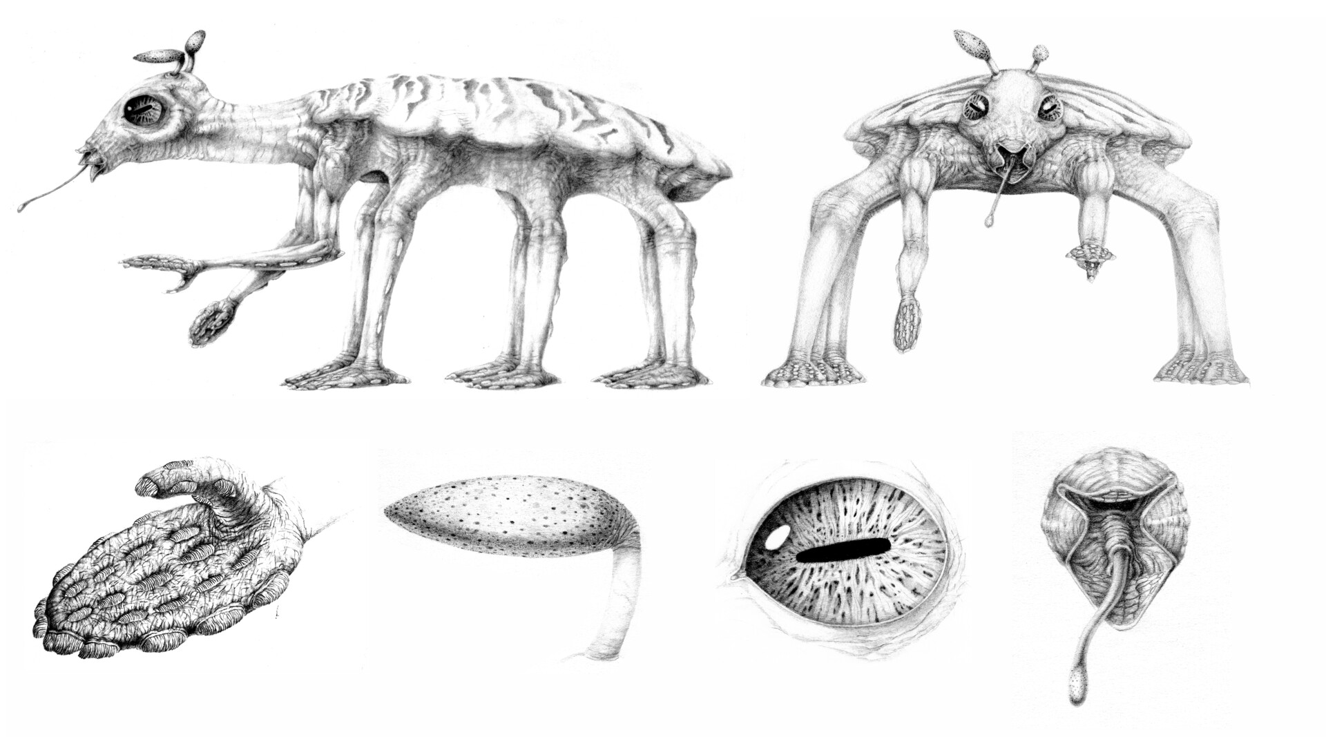 ArtStation - Alien Creature Concepts