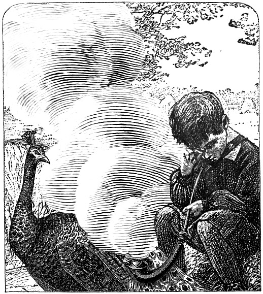 ArtStation - Bajka o dziupli (The Fairytale of a Tree Hollow)