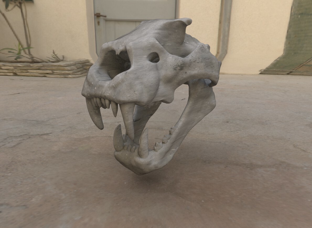 ArtStation - African lion skull study in Zbrush