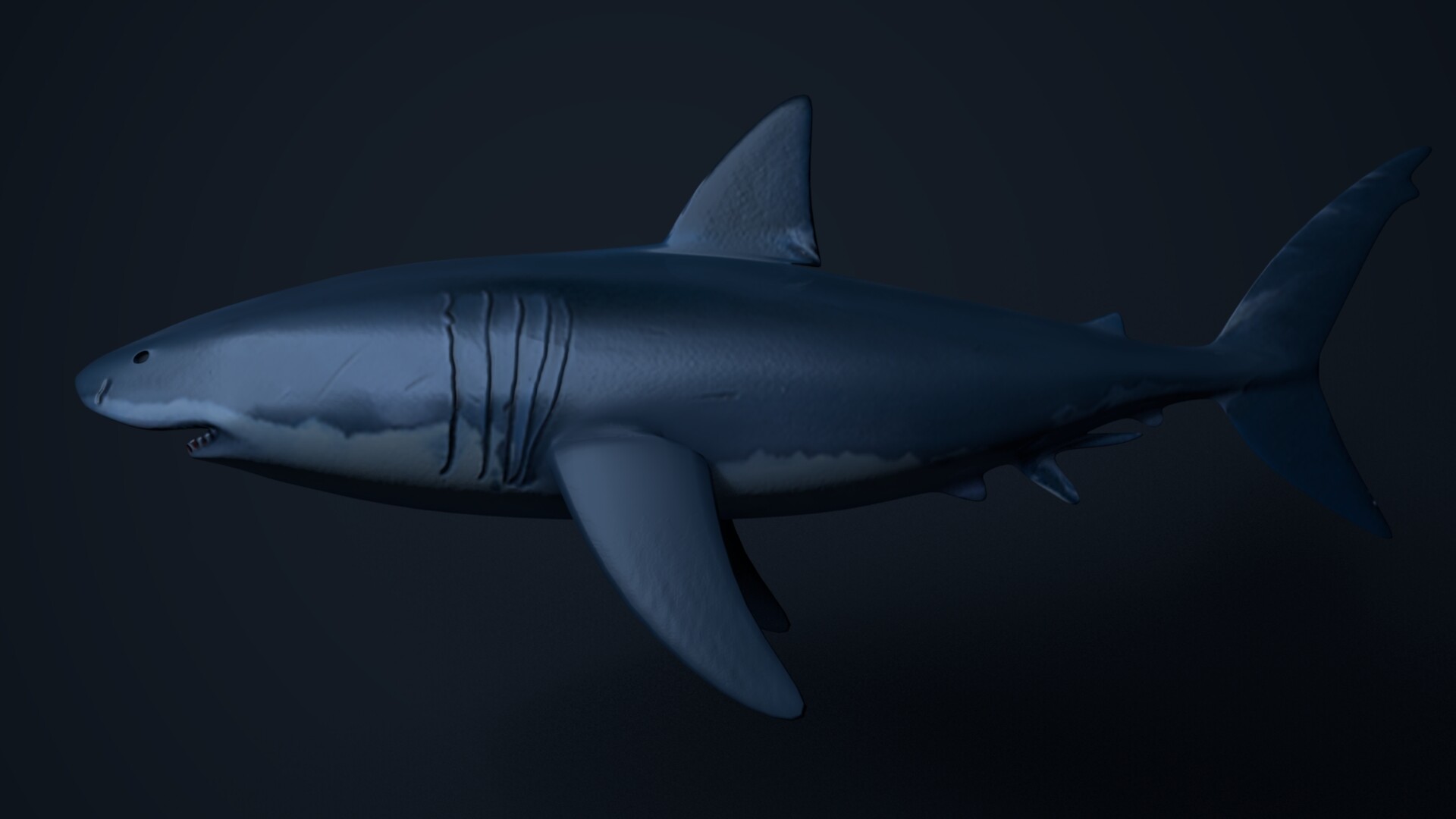 ArtStation - Shark (a student work)