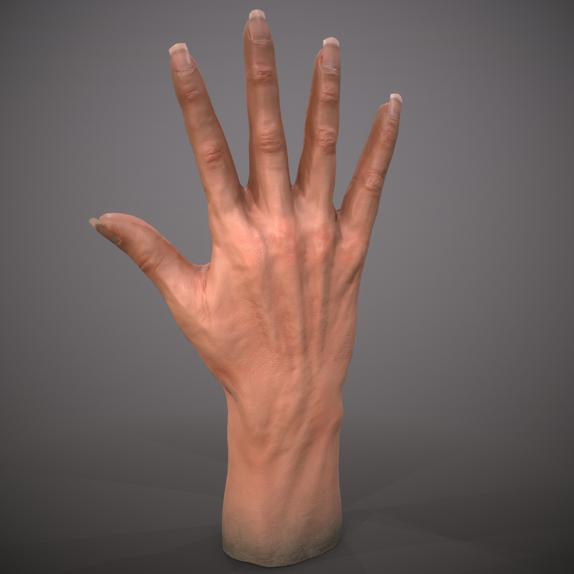 Boris Van der Beek - Caucasian Female Hand 3d Study