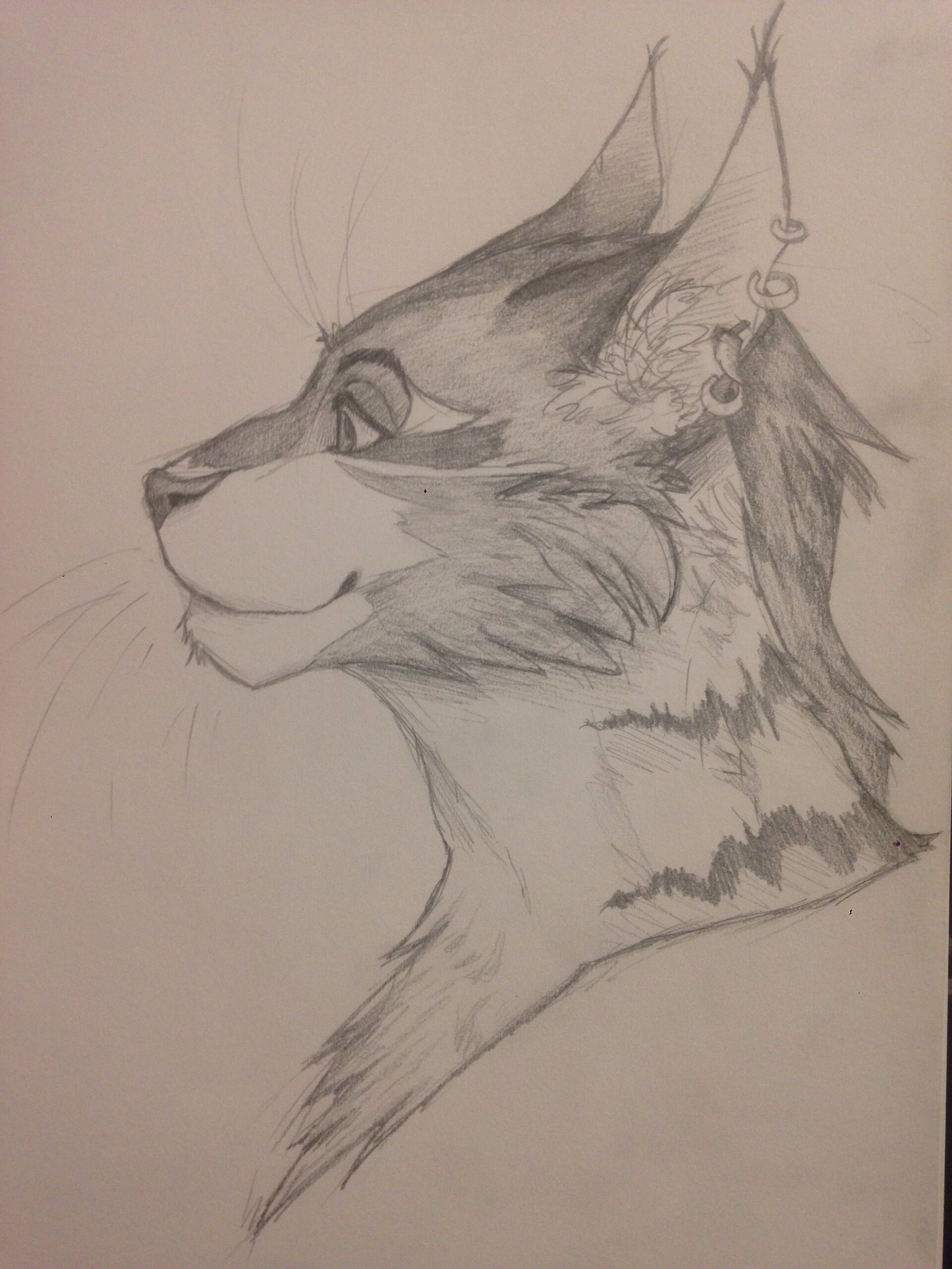 how to draw a khajiit step by step