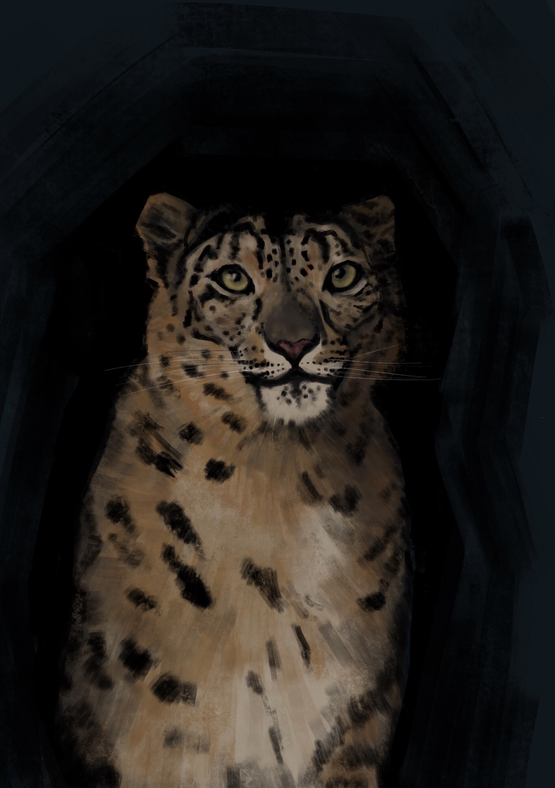 ArtStation - Snow Leopard study