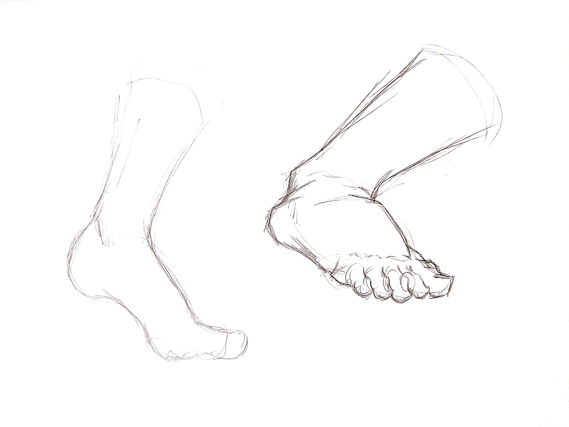 ArtStation - Foot Study