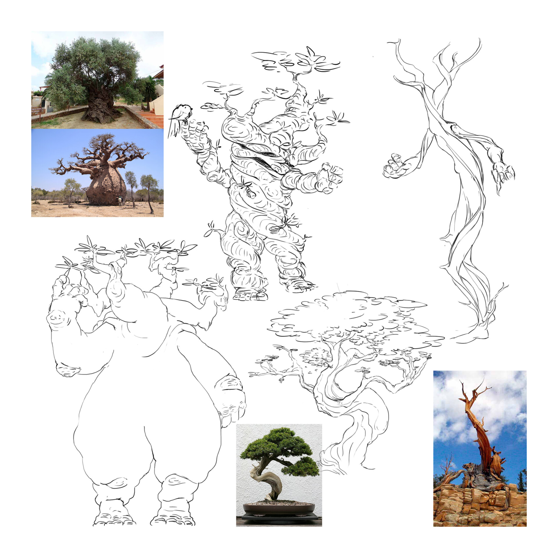 Matheus Faria - Ancestral Essence