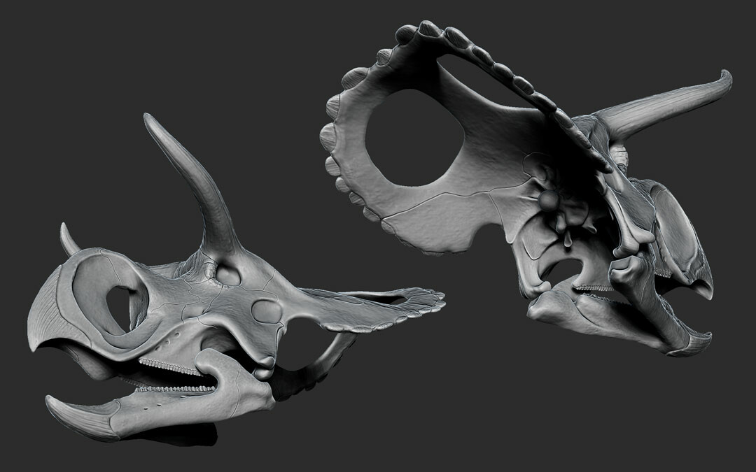 Esqueleto De Nasutoceratops