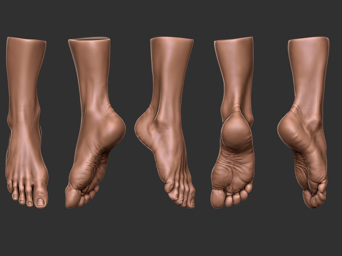 Manab Roy - leg feet anatomy practice