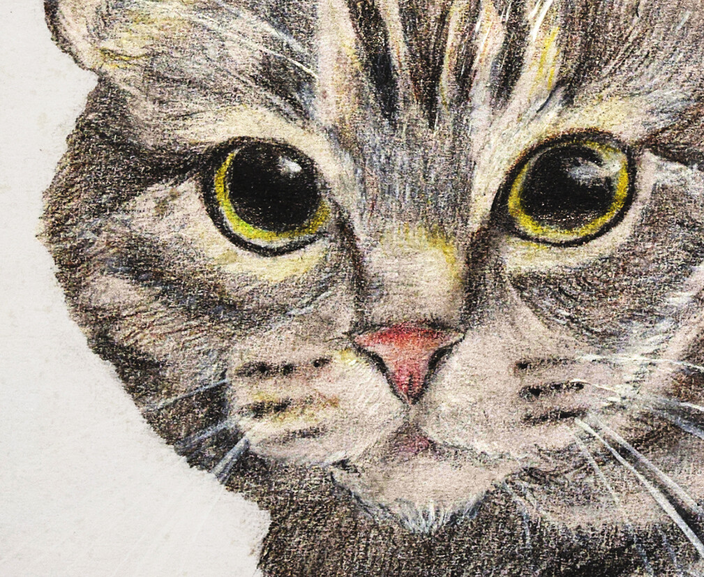 ArtStation - Traditional Cat