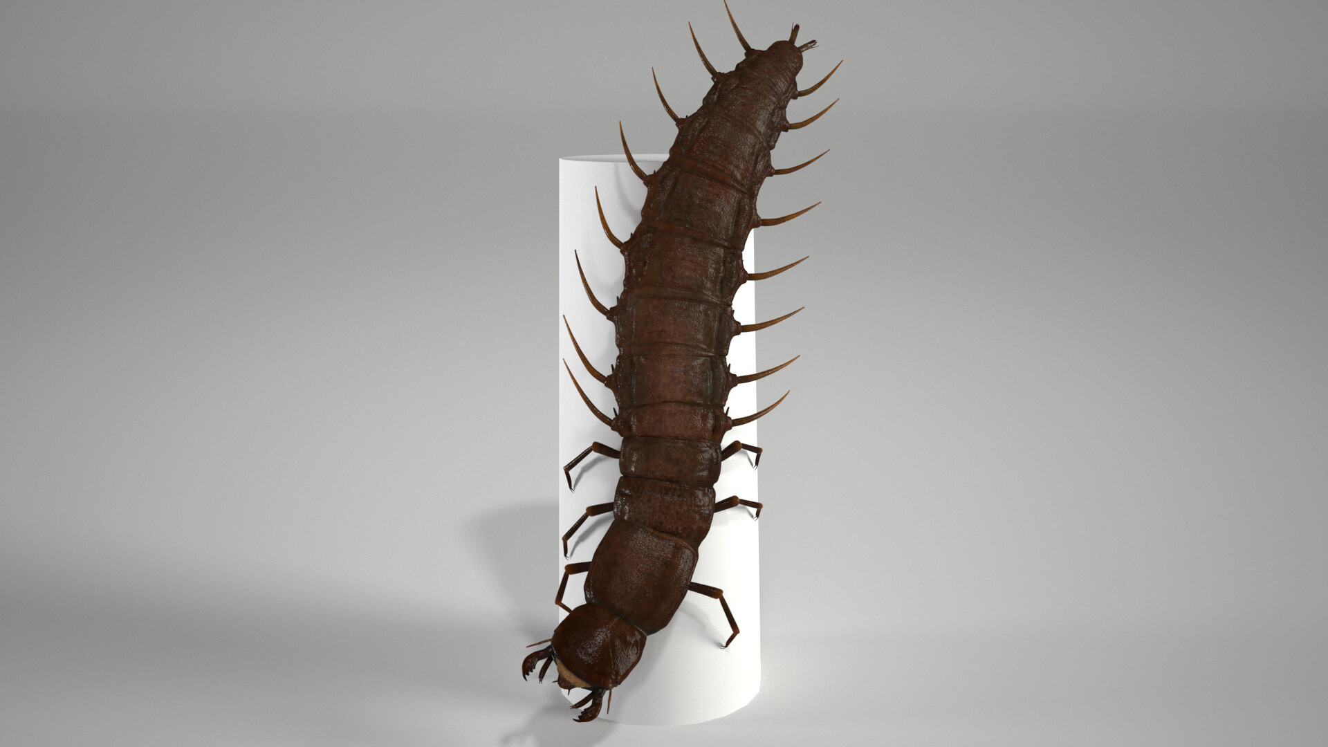 ArtStation - Hellgrammite