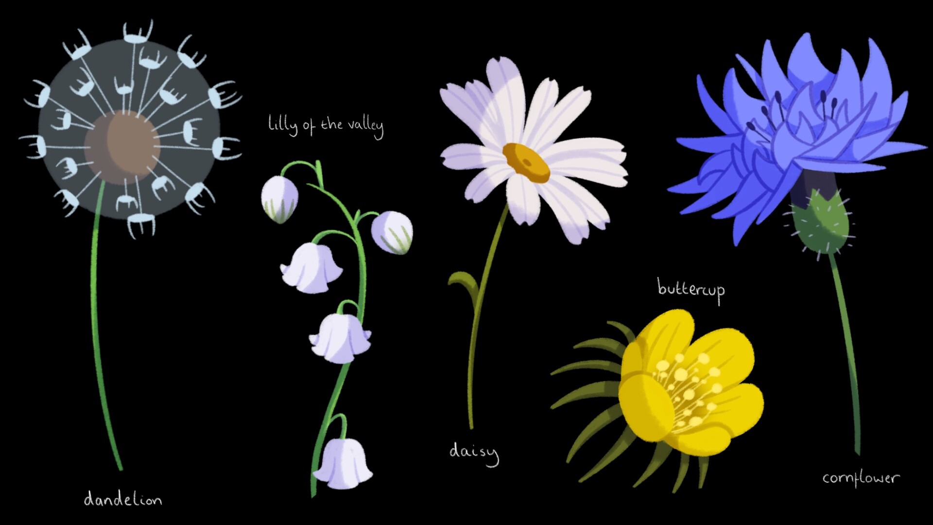 ArtStation - Flower Designs