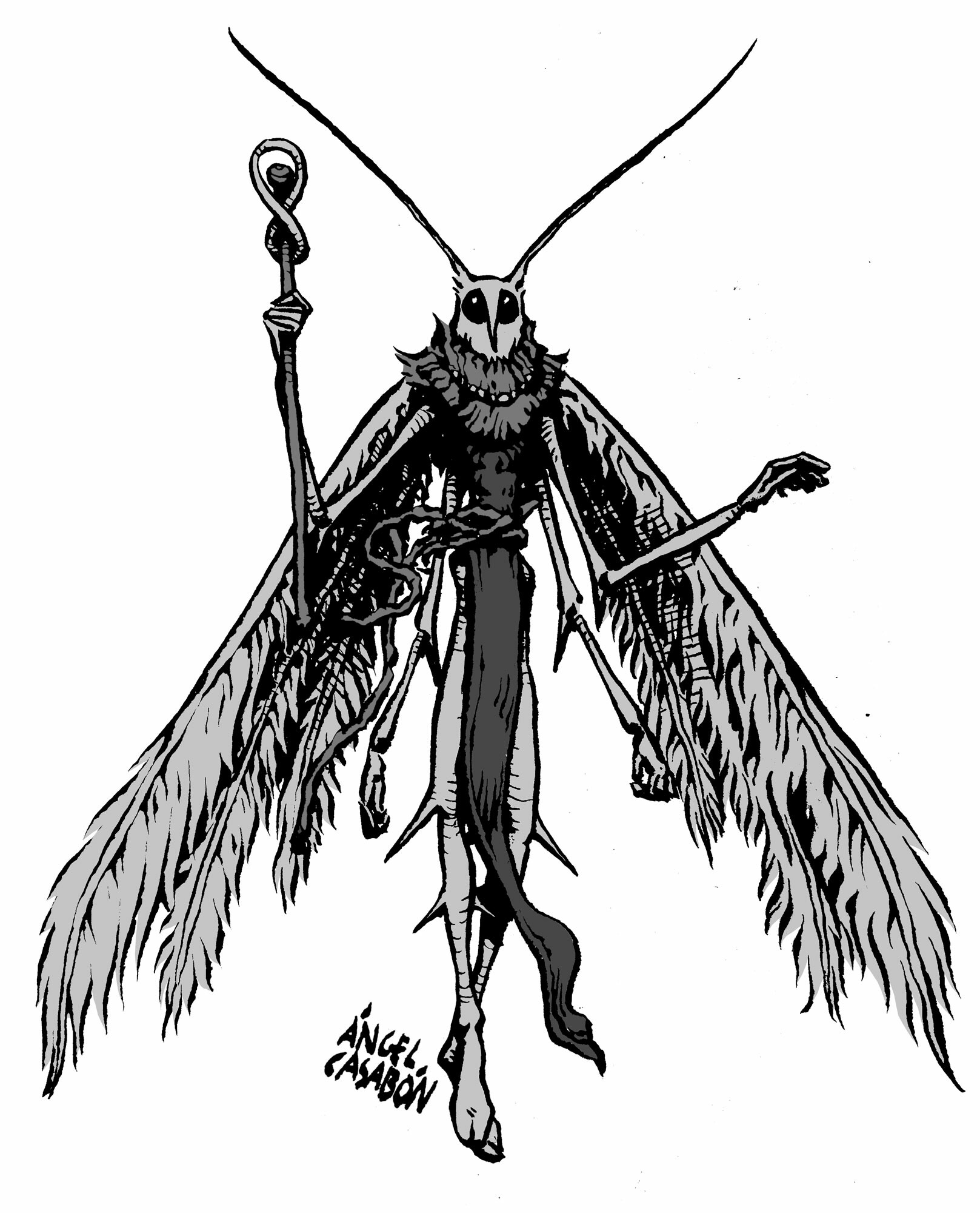 White Plume Moth