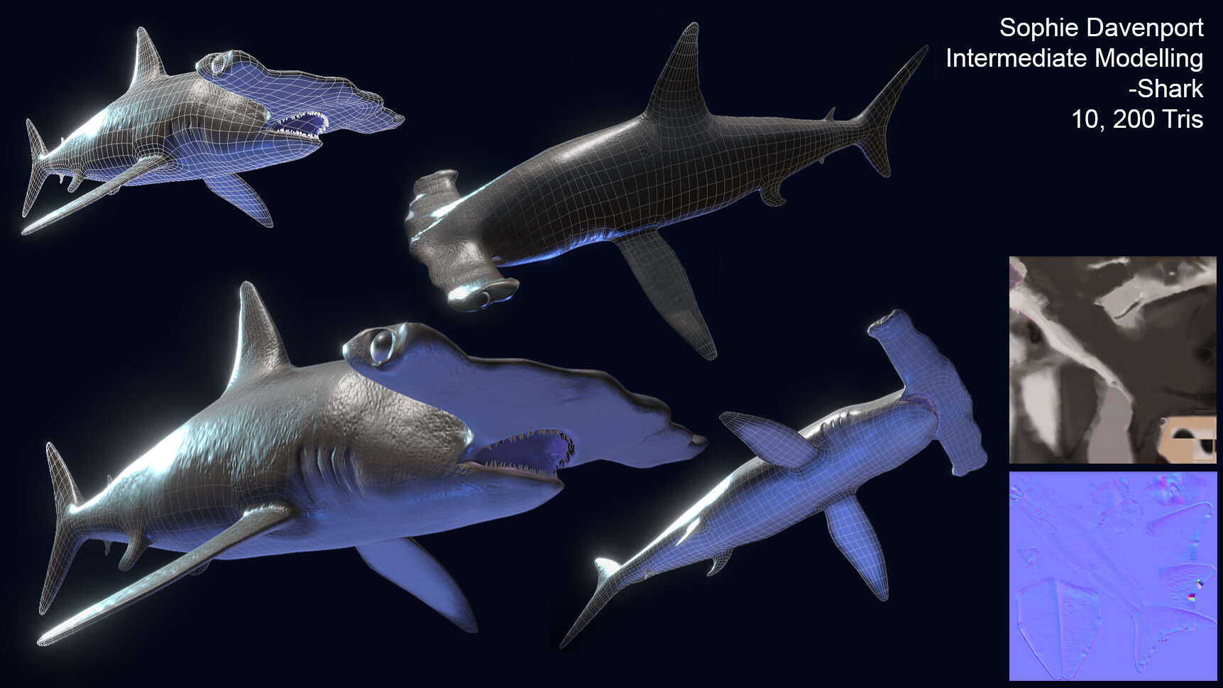 ArtStation - Hammerhead Shark Model