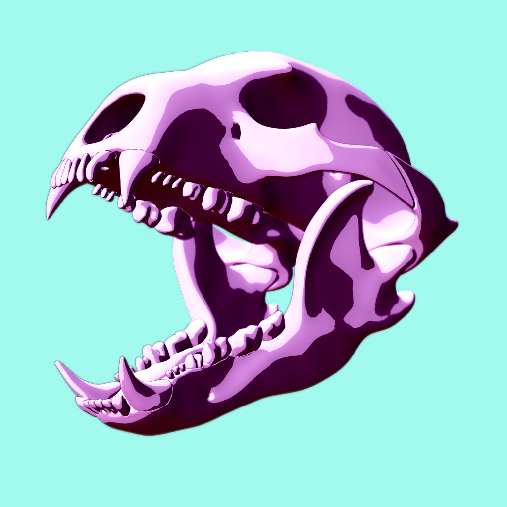 ArtStation - Toon Skull