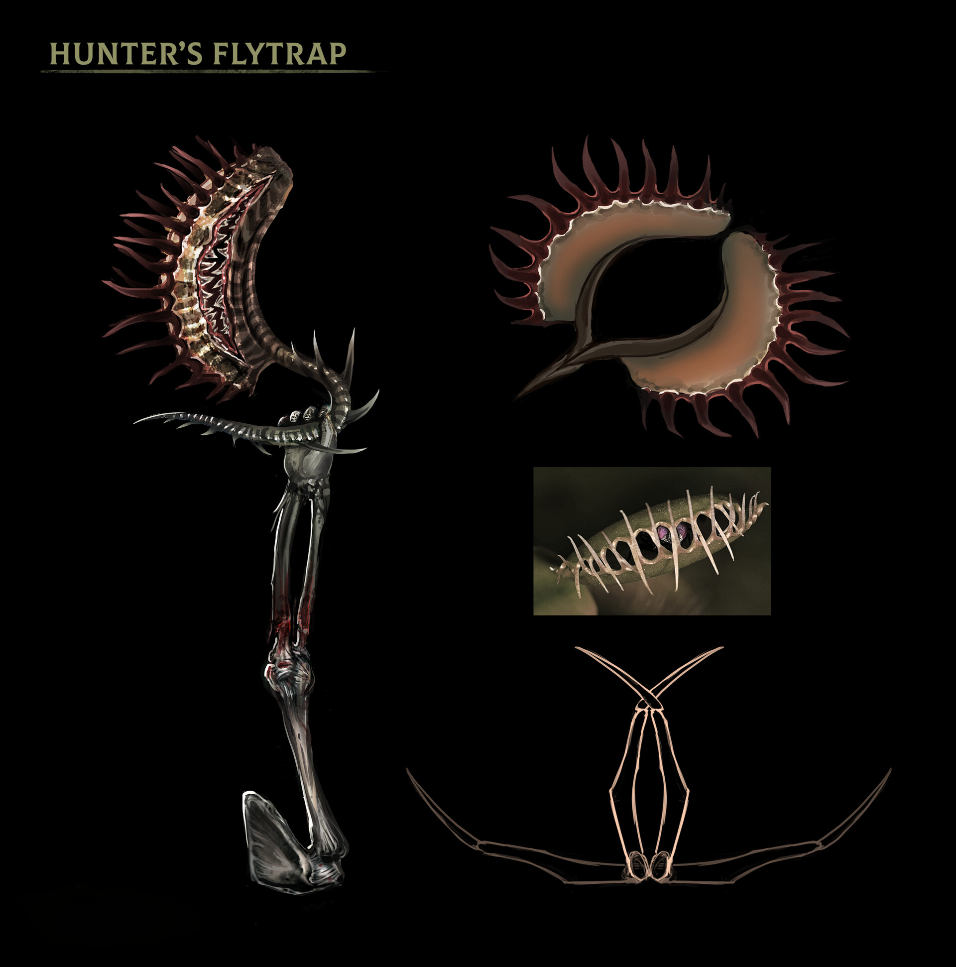 ArtStation - Hunter's flytrap