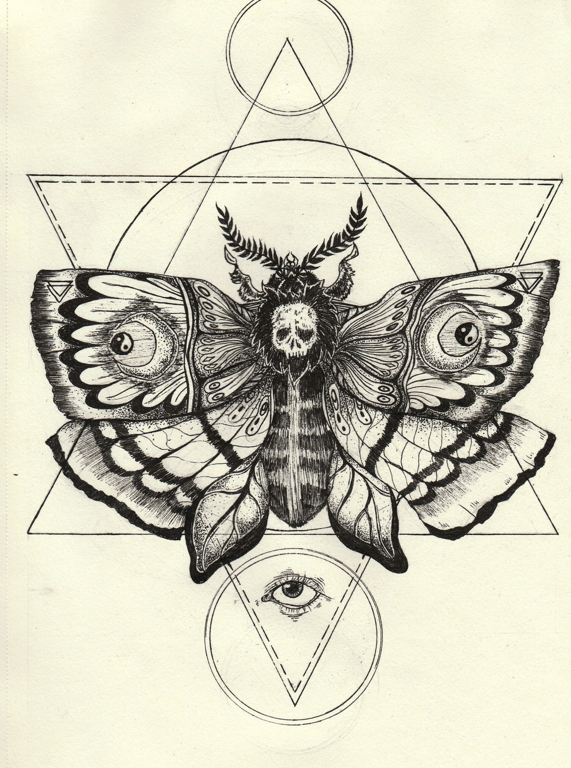 ArtStation - Acherontia atropos