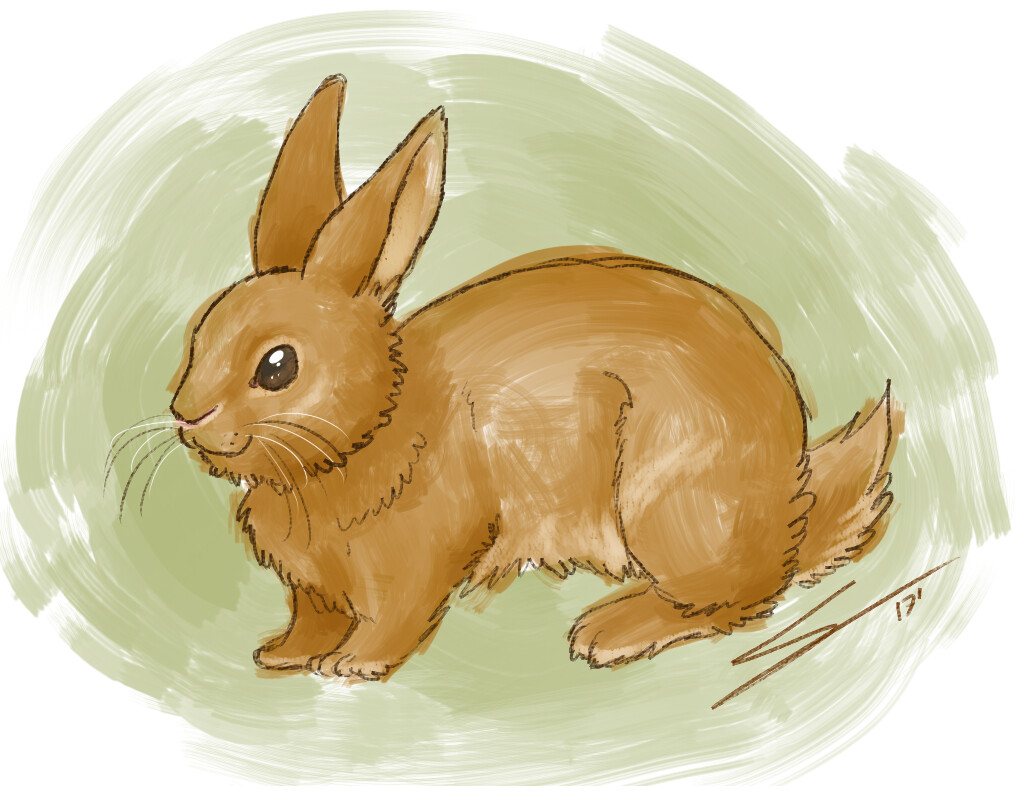 ArtStation - Bunny