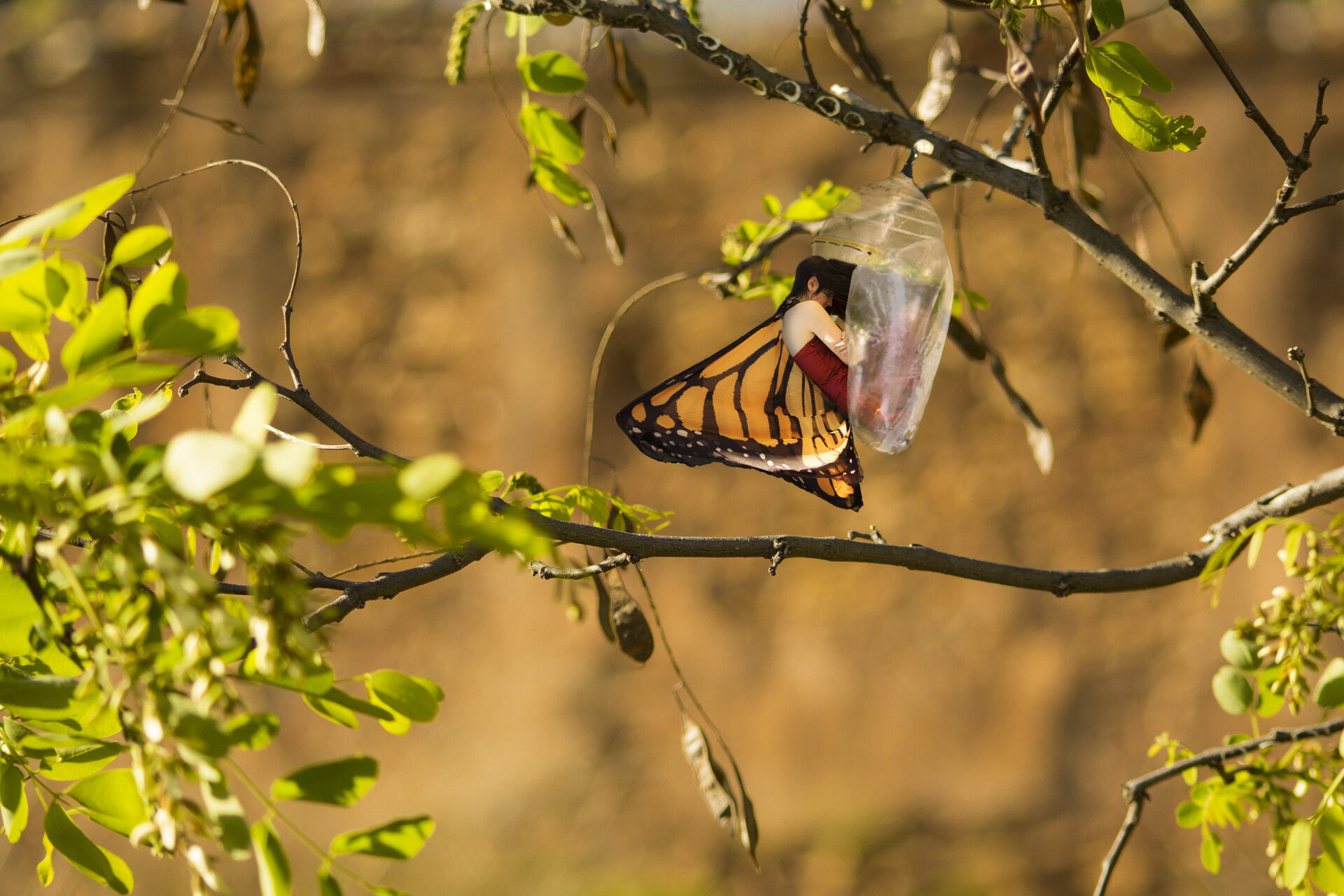 ArtStation - Butterfly birth (2018)