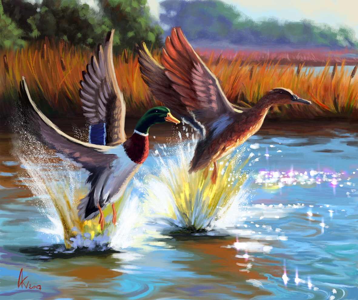 ArtStation - Ducks