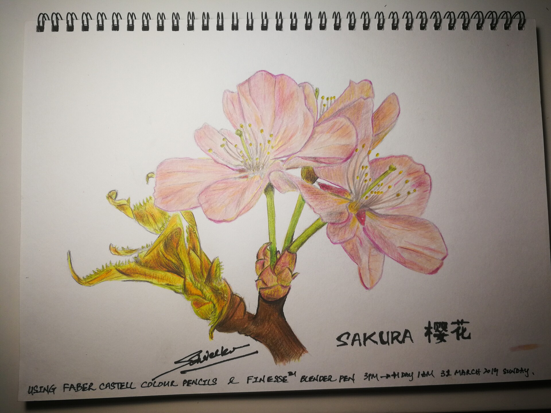 ArtStation - Sakura 2019