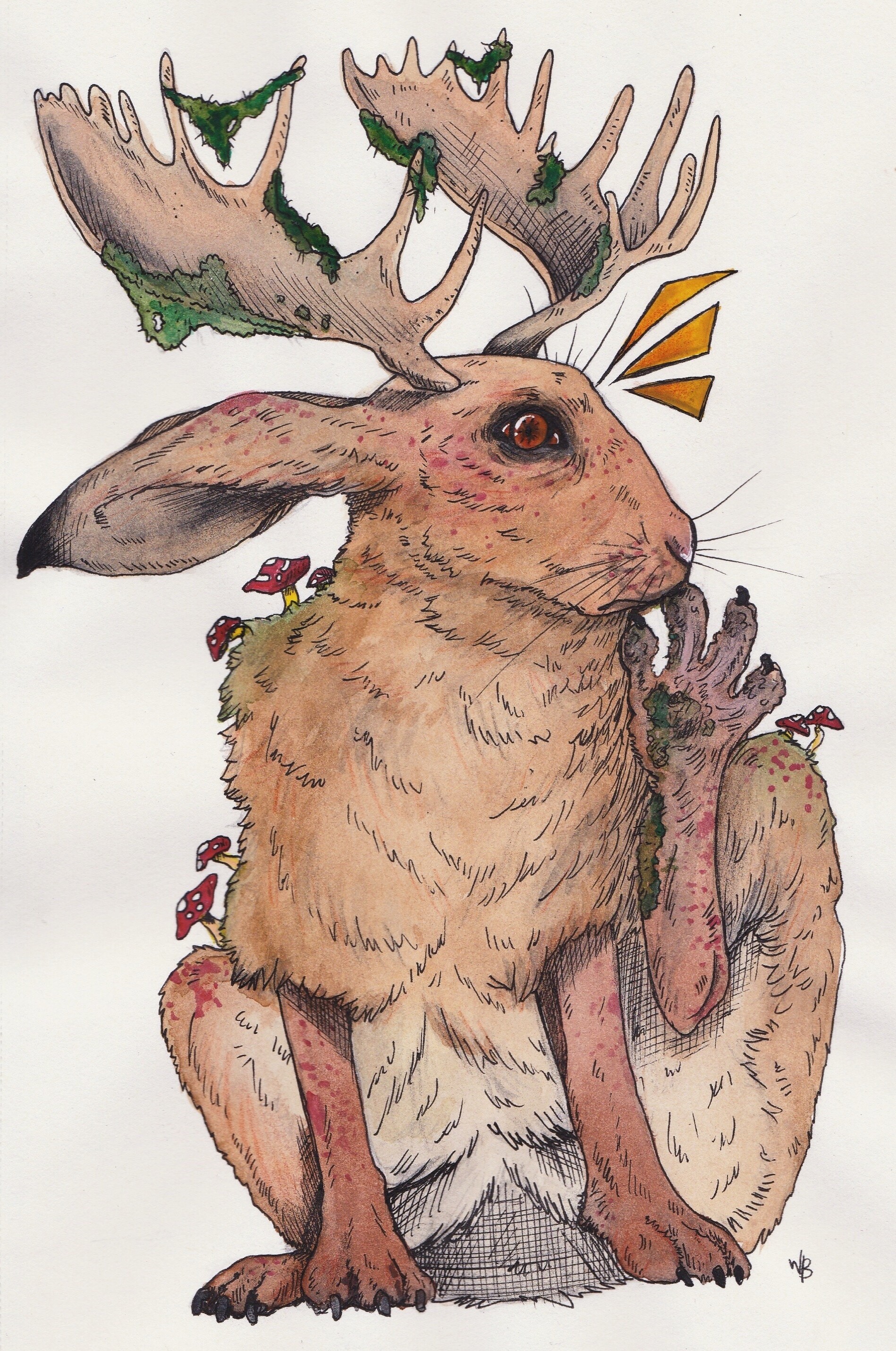 ArtStation - Jackalope