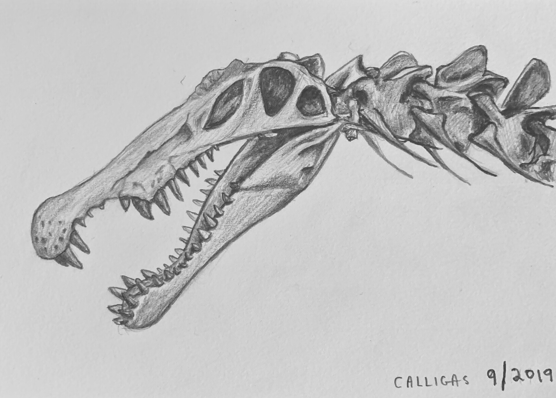 ArtStation - Spinosaurus