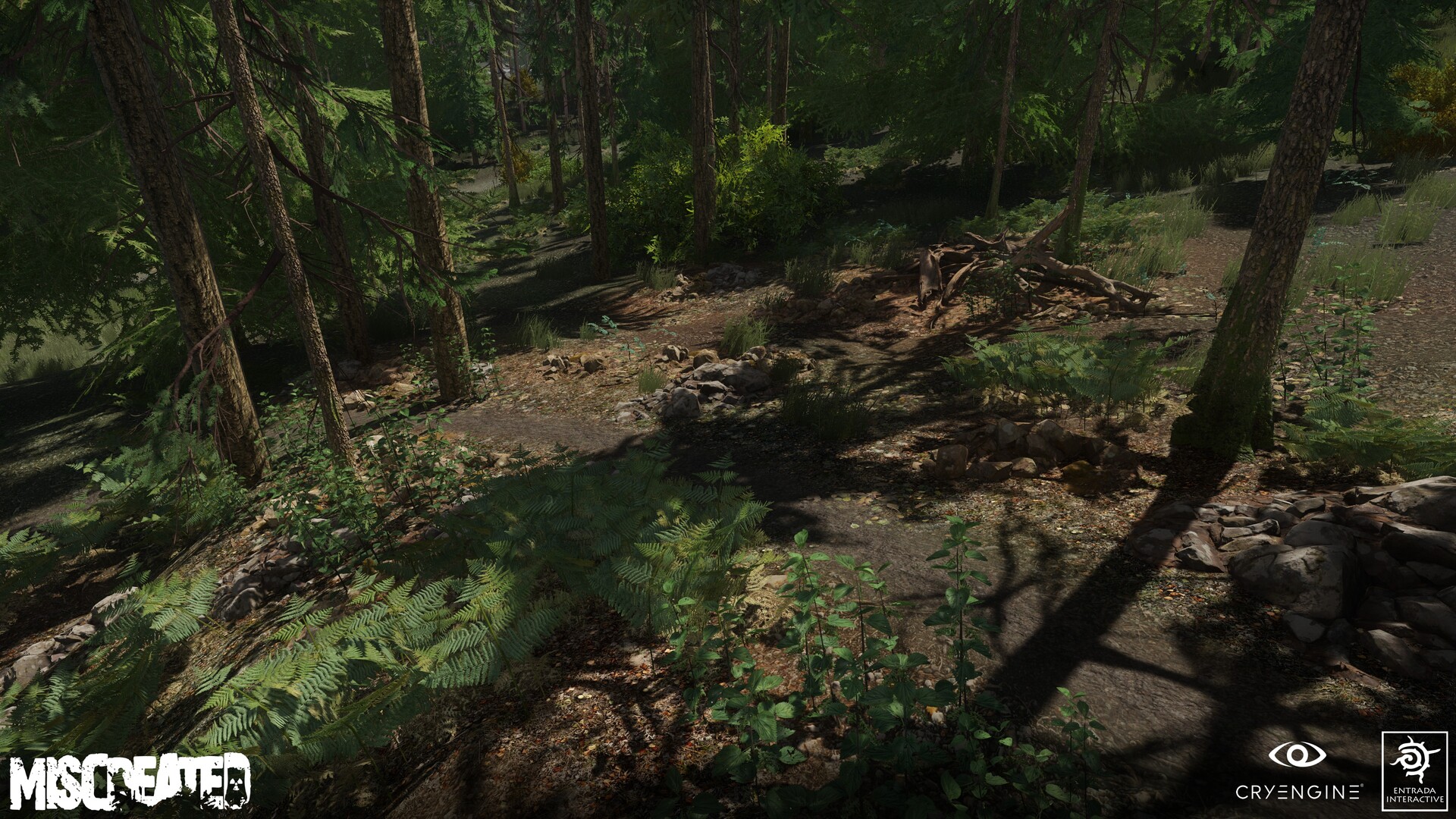 Marco Catena - Miscreated: Orca Island