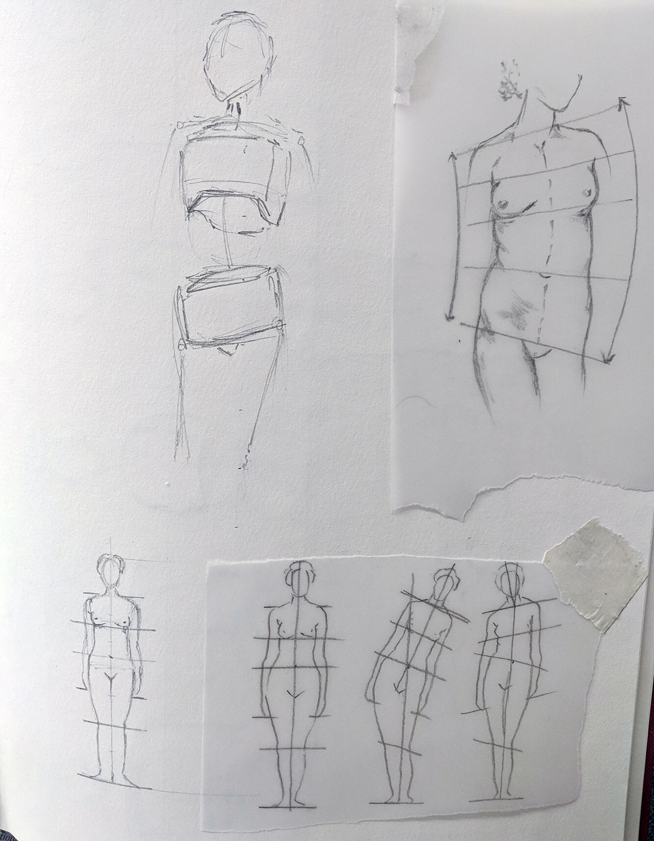 Nicola Edwards - Constructing Figures!