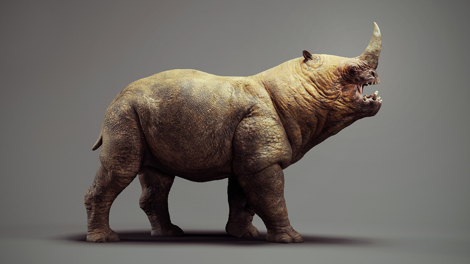 Antoine Verney-Carron - Sandhorn