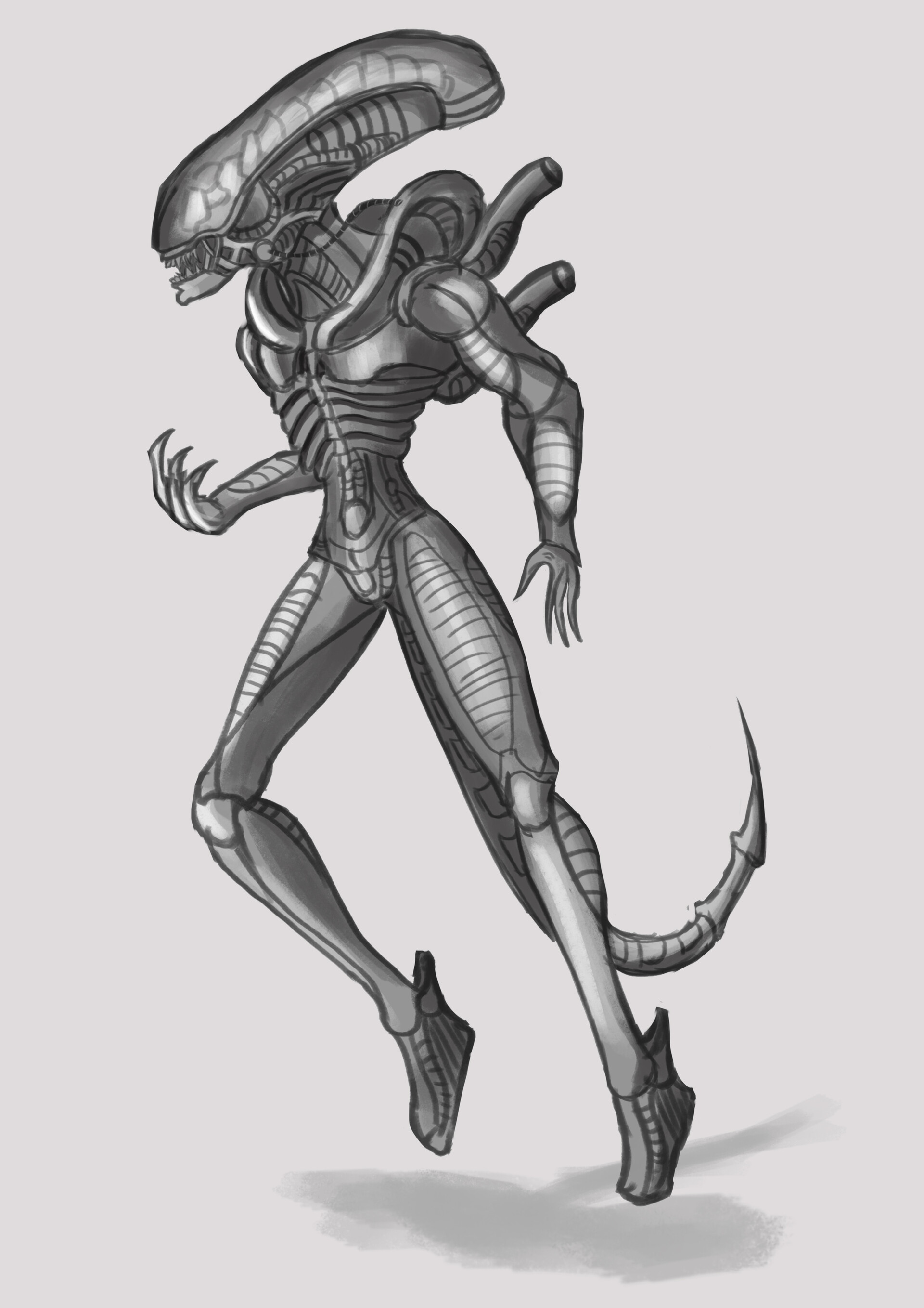 ArtStation - Alien sketch