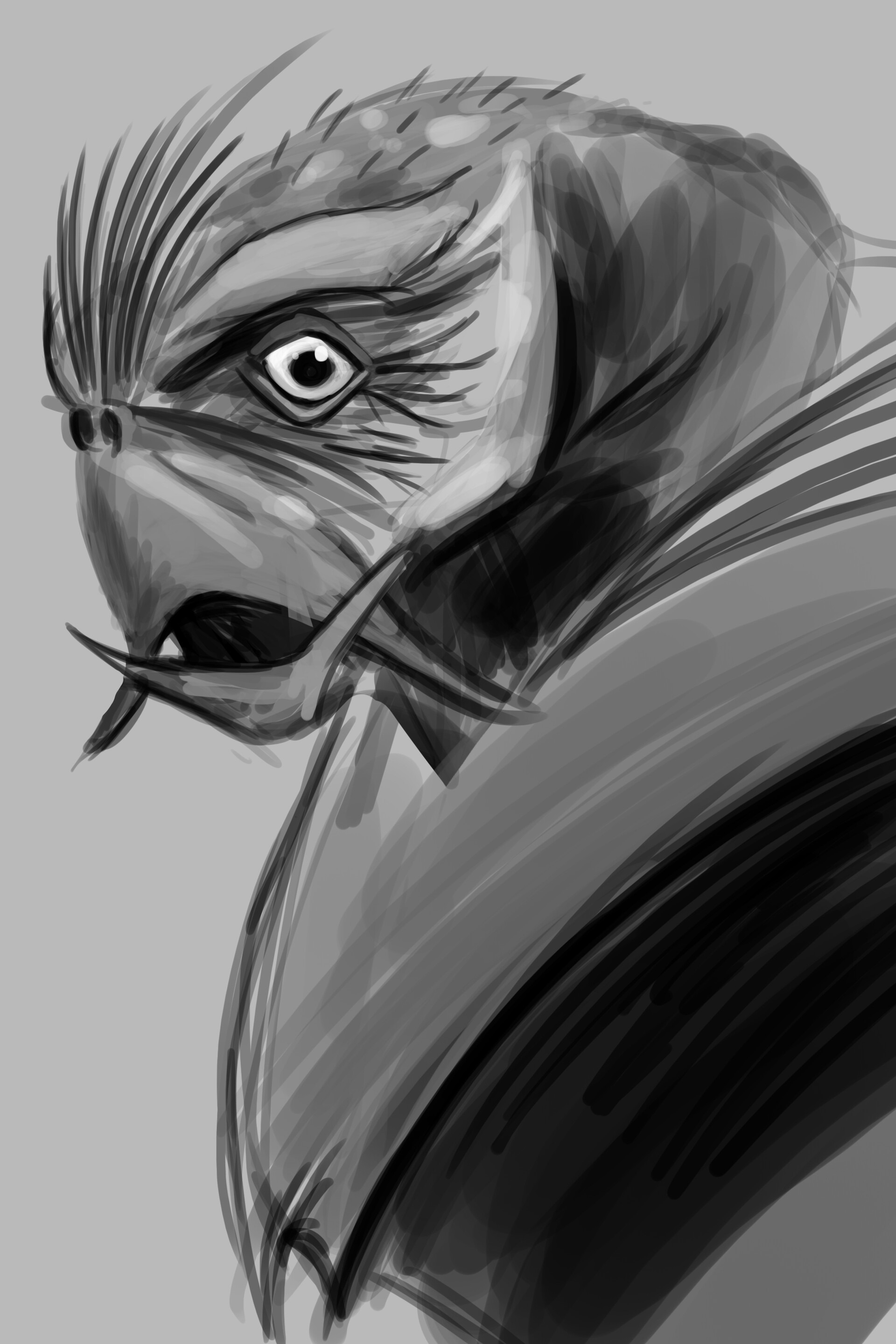 ArtStation - Quick Creature Sketches