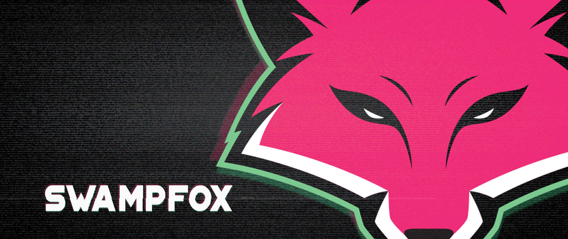 Travis Mendoza - SwampFox Branding & Application