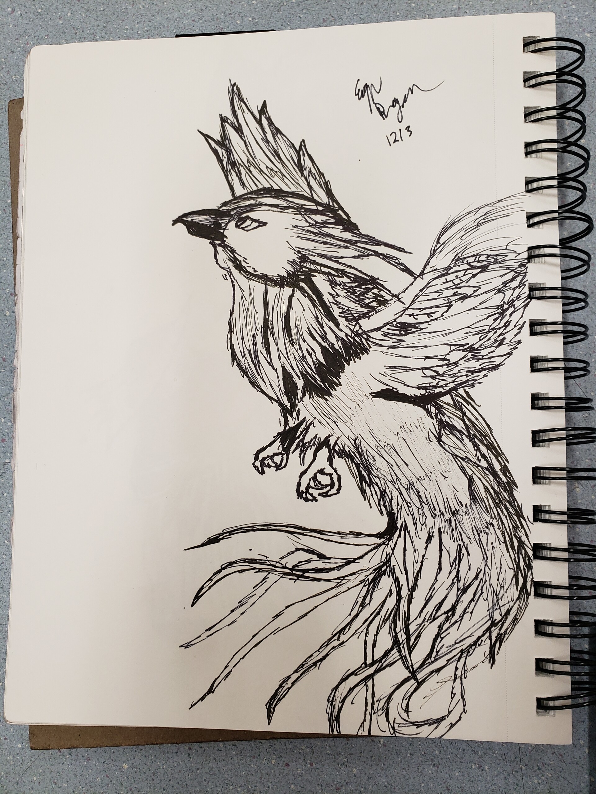 ArtStation - Stray feathers