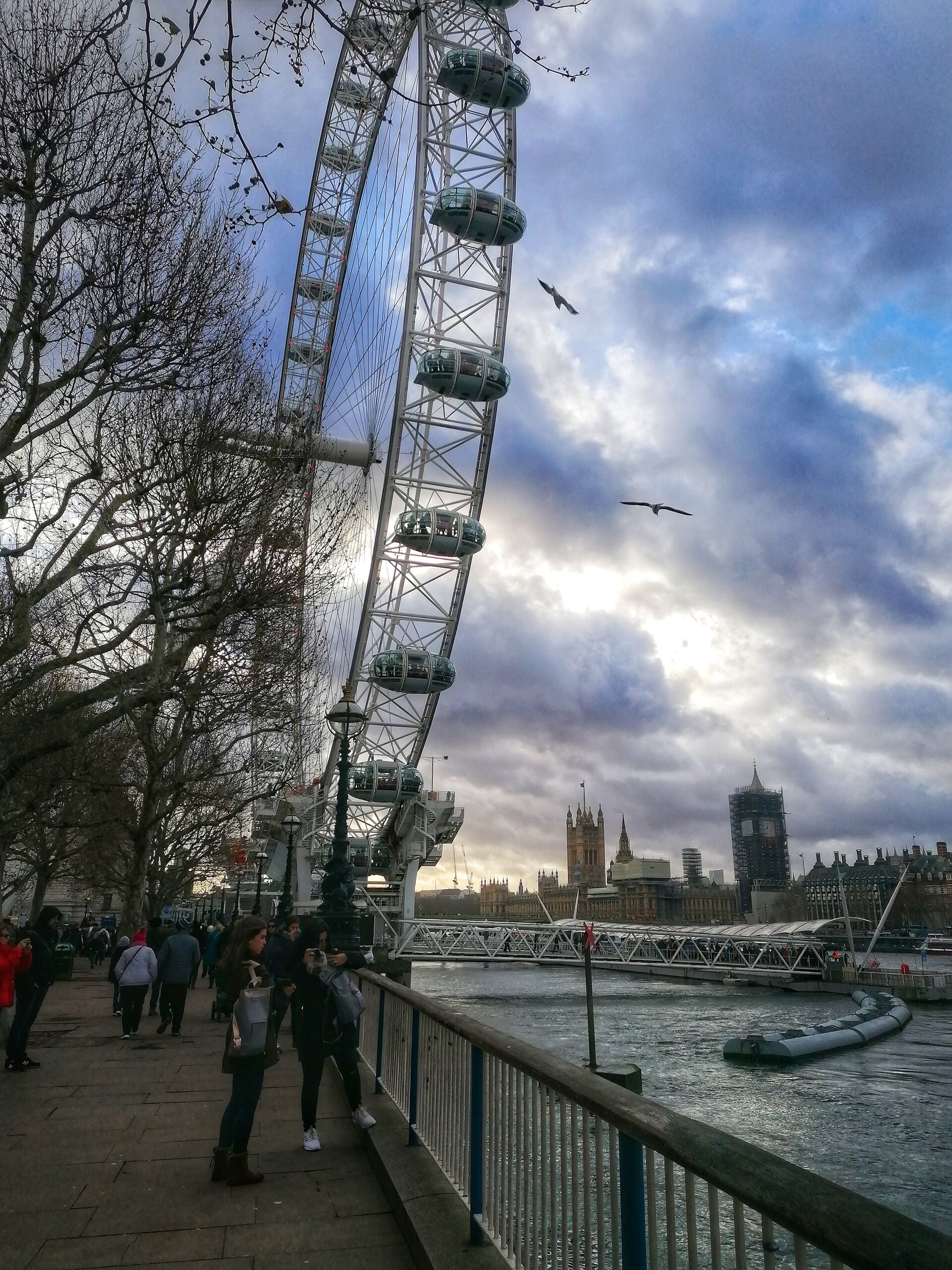Anna Marinelli - The London Eye