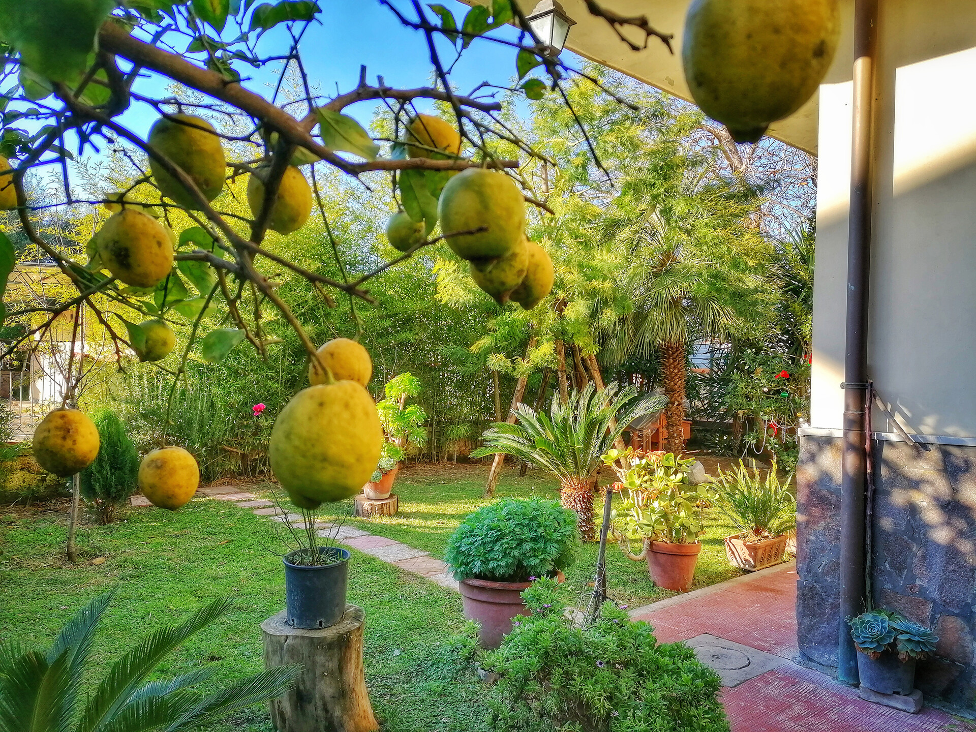 Anna Marinelli - Home