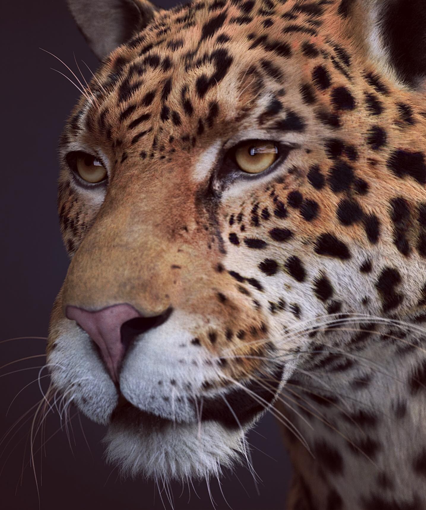 Massimo Righi - Jaguar Portrait