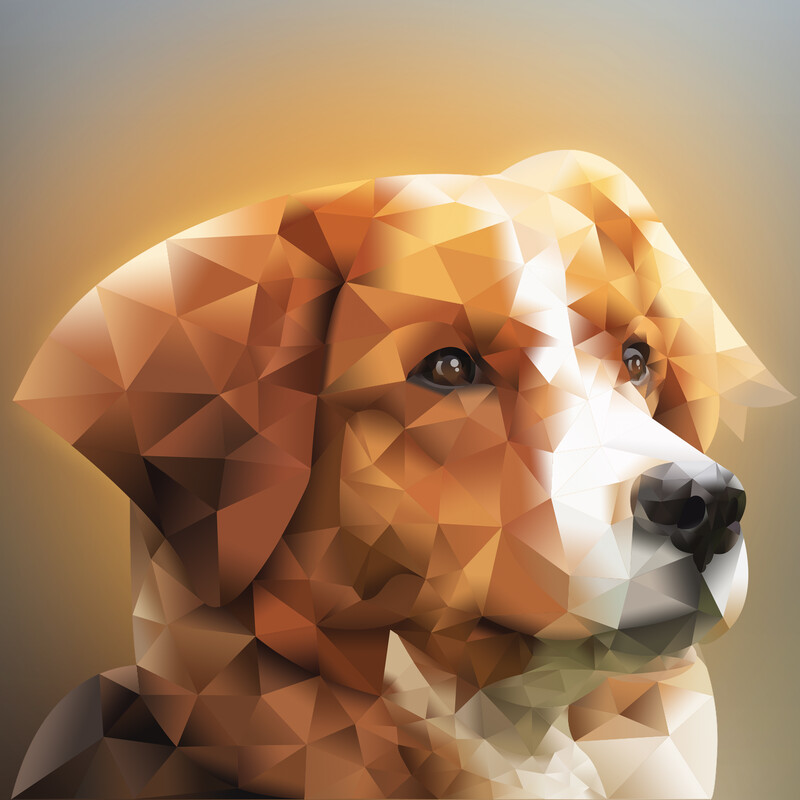 ArtStation - neo tam