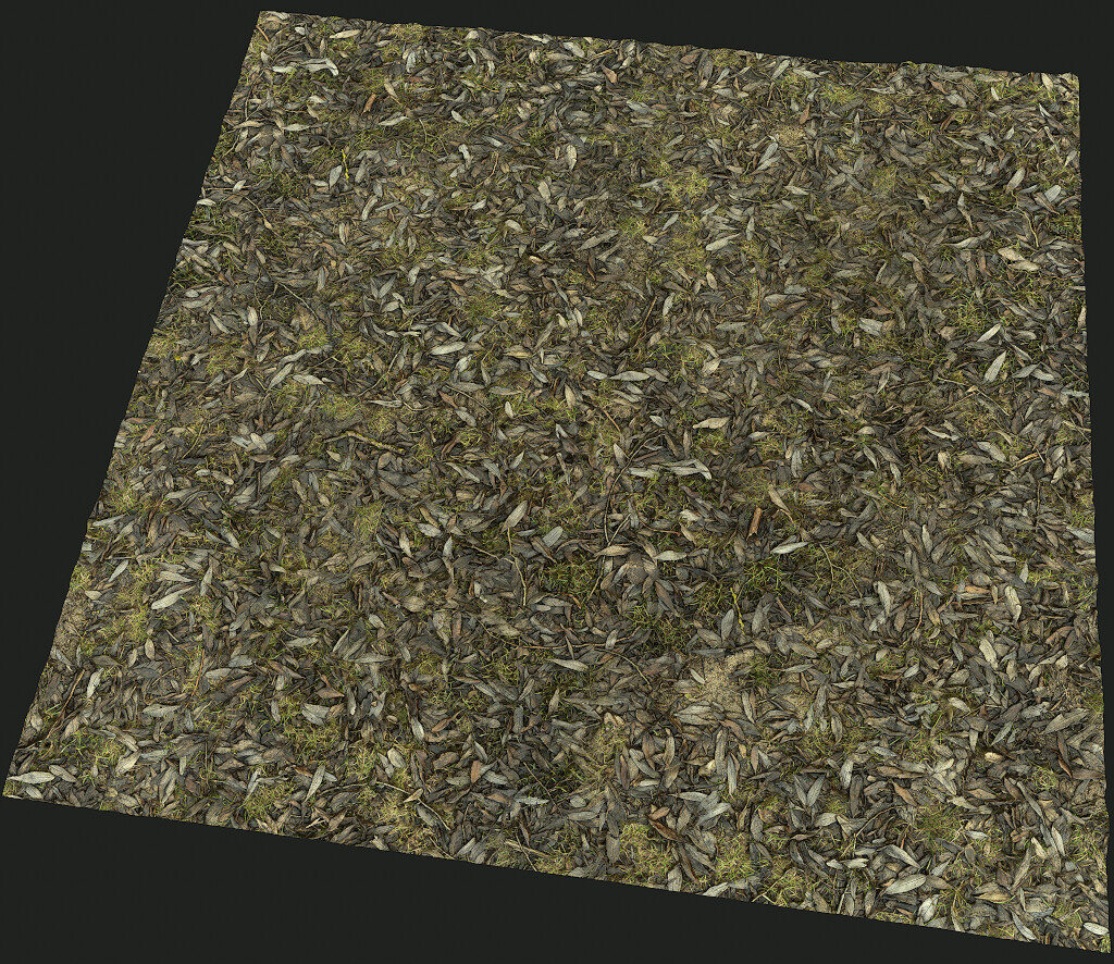 tileable forest floor texture