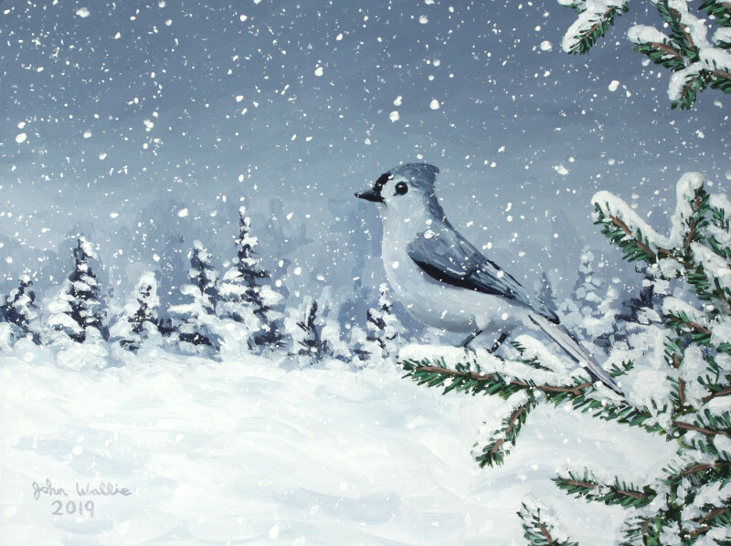 ArtStation - Tufted Titmouse