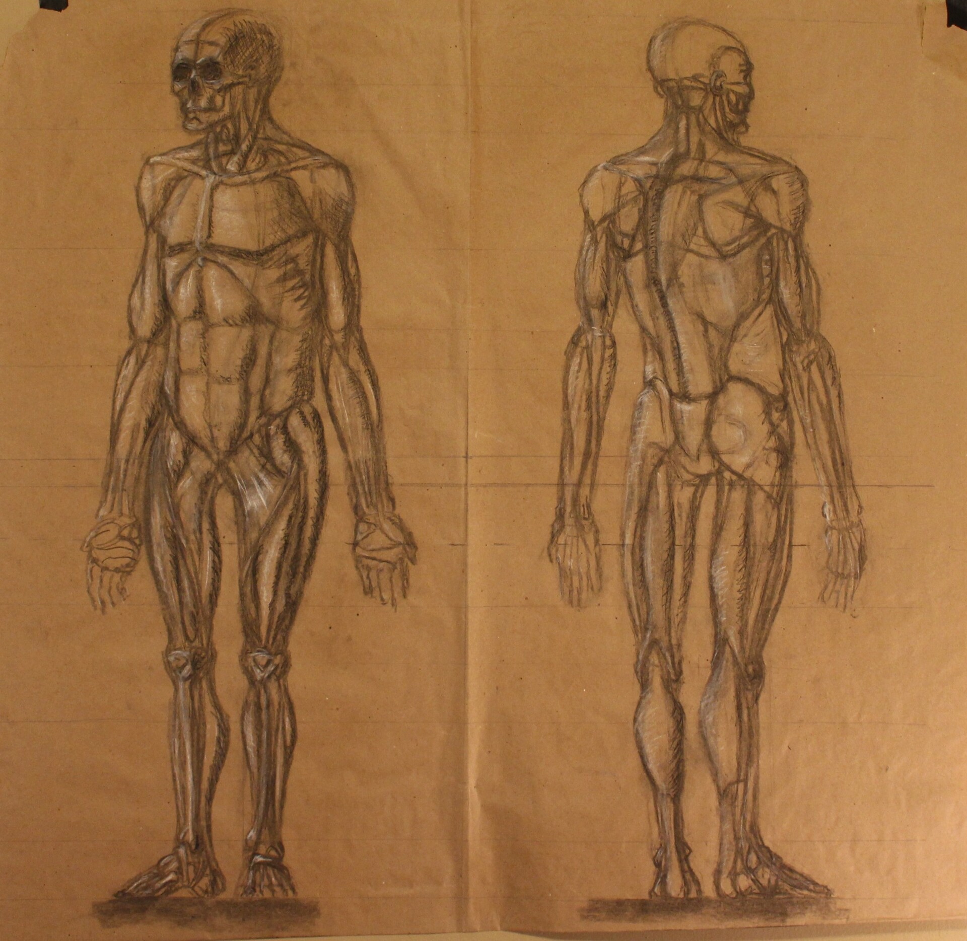 ArtStation - Full Body Muscle Study (2014)