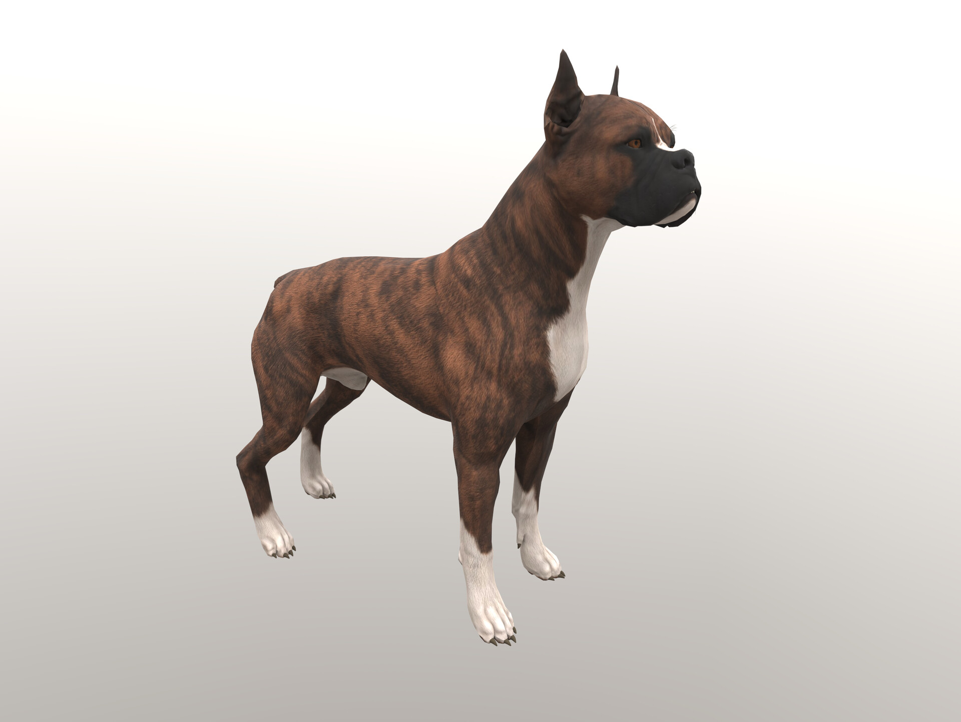 ArtStation - Picture of a dog in 3D