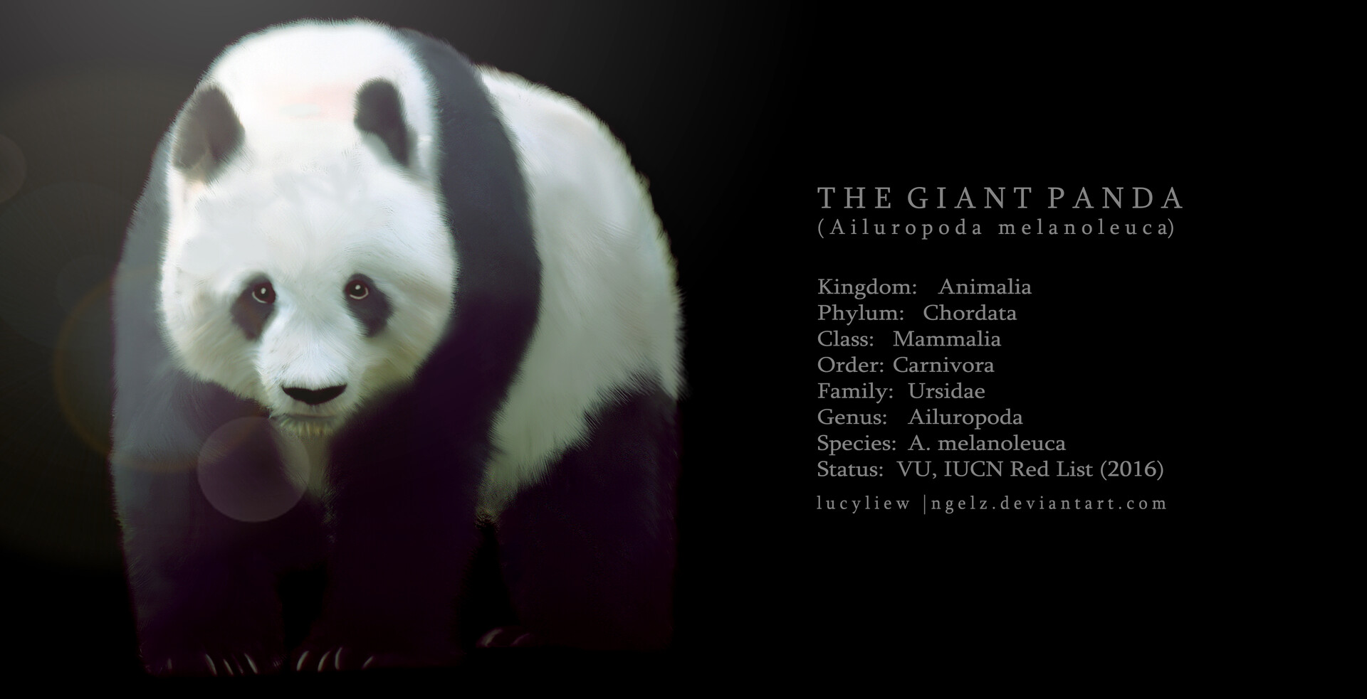 ArtStation - The Giant Panda