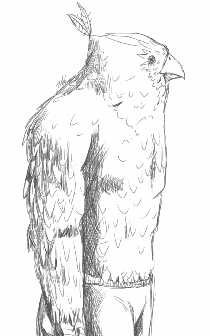 ArtStation - Daily Sketch: Bird Guy