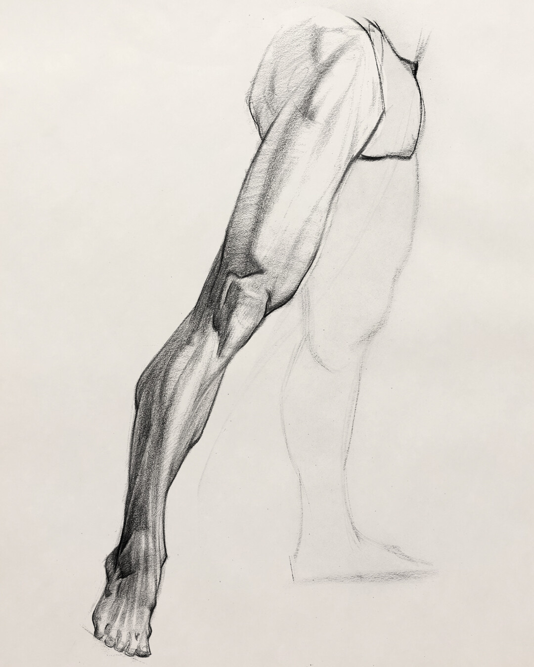 Stan Prokopenko - Sketching and Shading the Lower Leg - Anterolateral Assignment